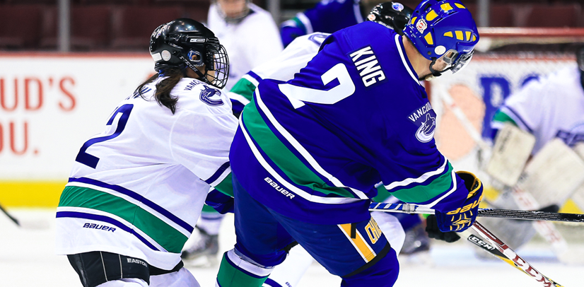 Adult Safe Hockey League | ASHL – Rec Hockey, Redefined